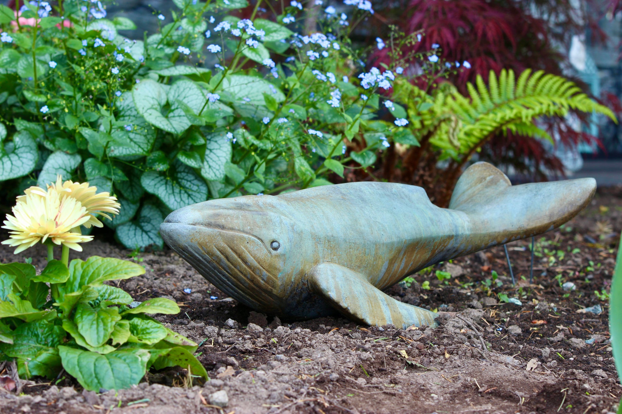 Humpback – Castart Studios